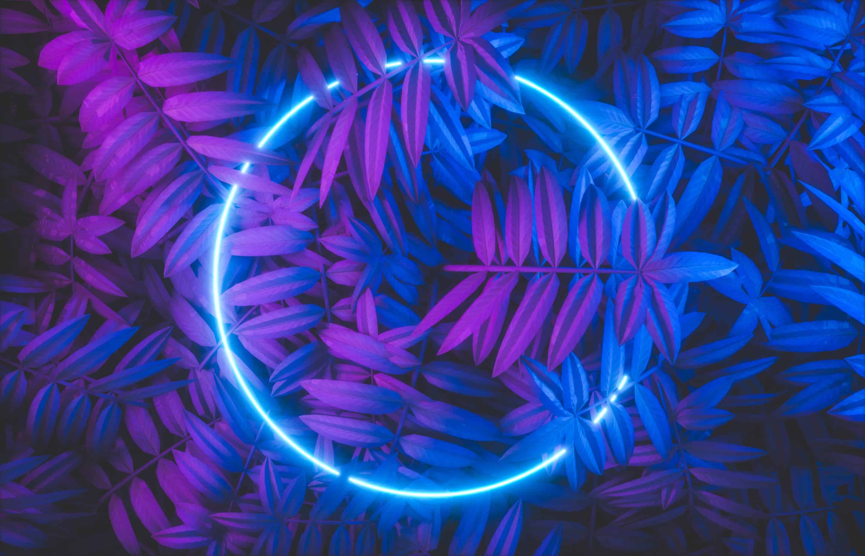 Effet neon Photoshop : Comment créer des effets lumineux saisissants en ...